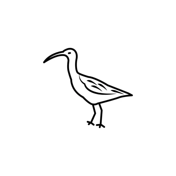 39,270,412 Curlew Vector Images | Depositphotos
