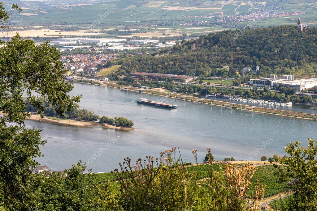 vista de los viñedos de la ladera a lo largo del río Rin y la isla de ...