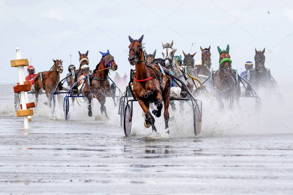 Cuxhaven, Alemania - 25 de agosto de 2019: ecuestre en la carrera de ...