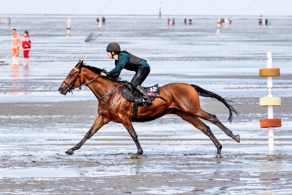 Cuxhaven, Alemania - 25 de agosto de 2019: ecuestre en la carrera de ...