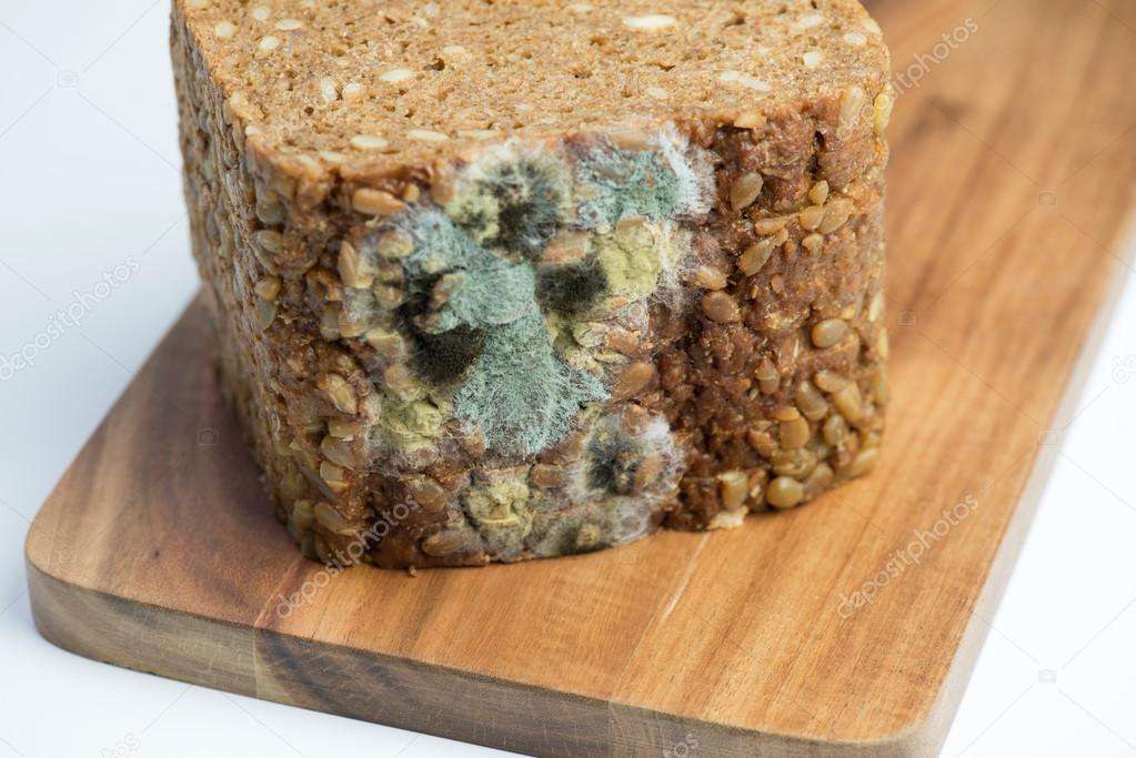 Mold on foods — Stock Photo © vschlichting #54807365