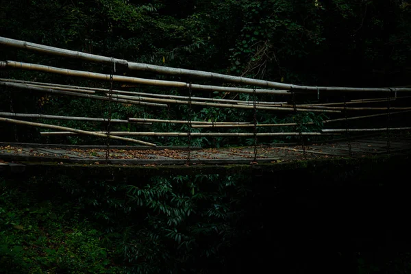 Tree bridge Stock Photos, Royalty Free Tree bridge Images | Depositphotos