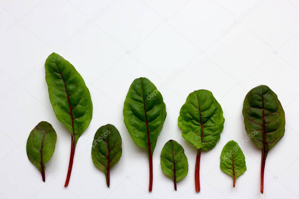 Hojas de acelga verde fresca o hojas de ensalada de mangold sobre fondo ...