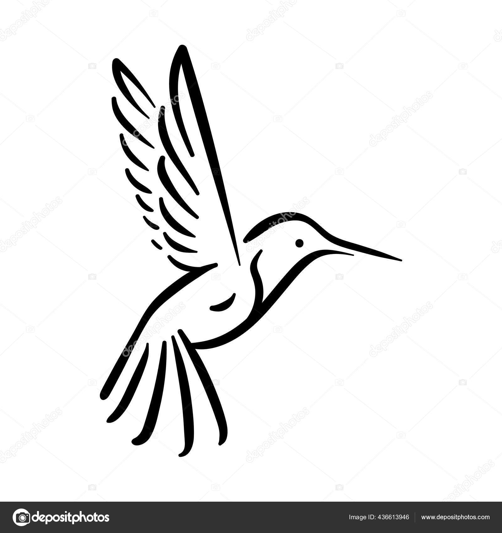 Hummingbird Flying Drawing