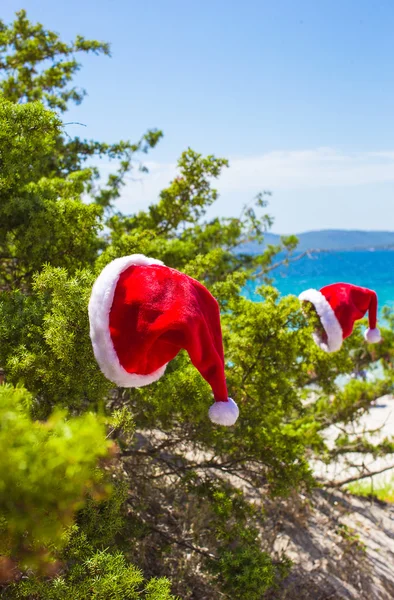 Christmas australia Stock Photos, Royalty Free Christmas australia ...