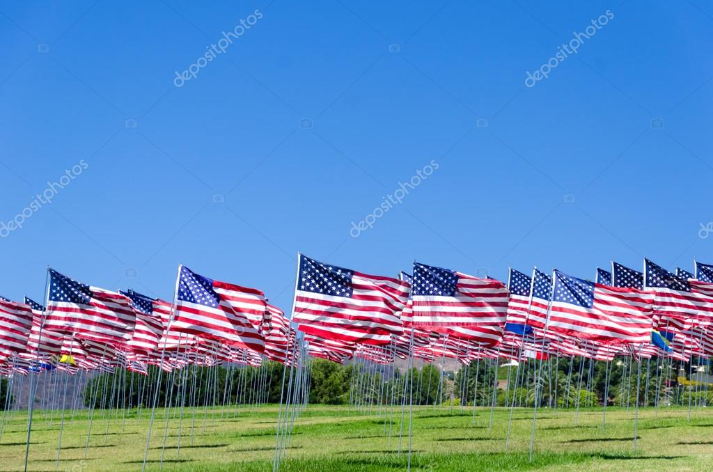American flags on a field Stock Photo by ©EllenSmile 53216535