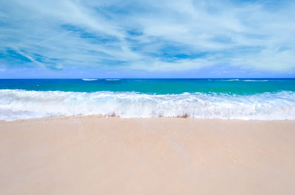 Sandy beach background Stock Photos, Royalty Free Sandy beach ...