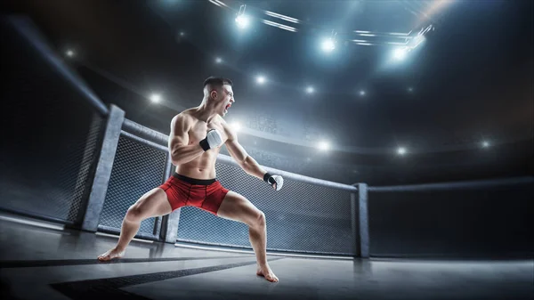 Mma fighter cage Stock Photos, Royalty Free Mma fighter cage Images ...