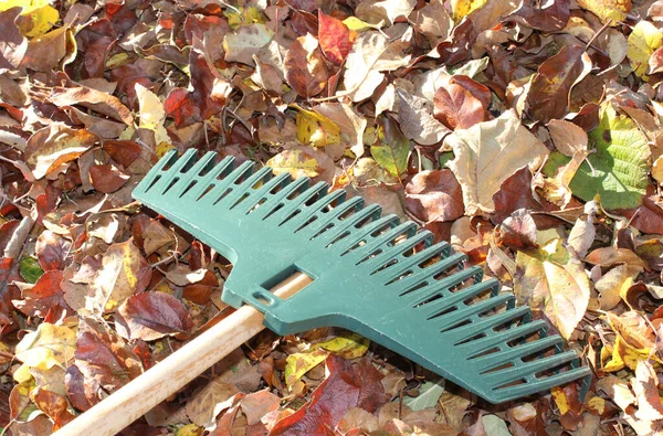 Rake Stock Photos, Royalty Free Rake Images | Depositphotos