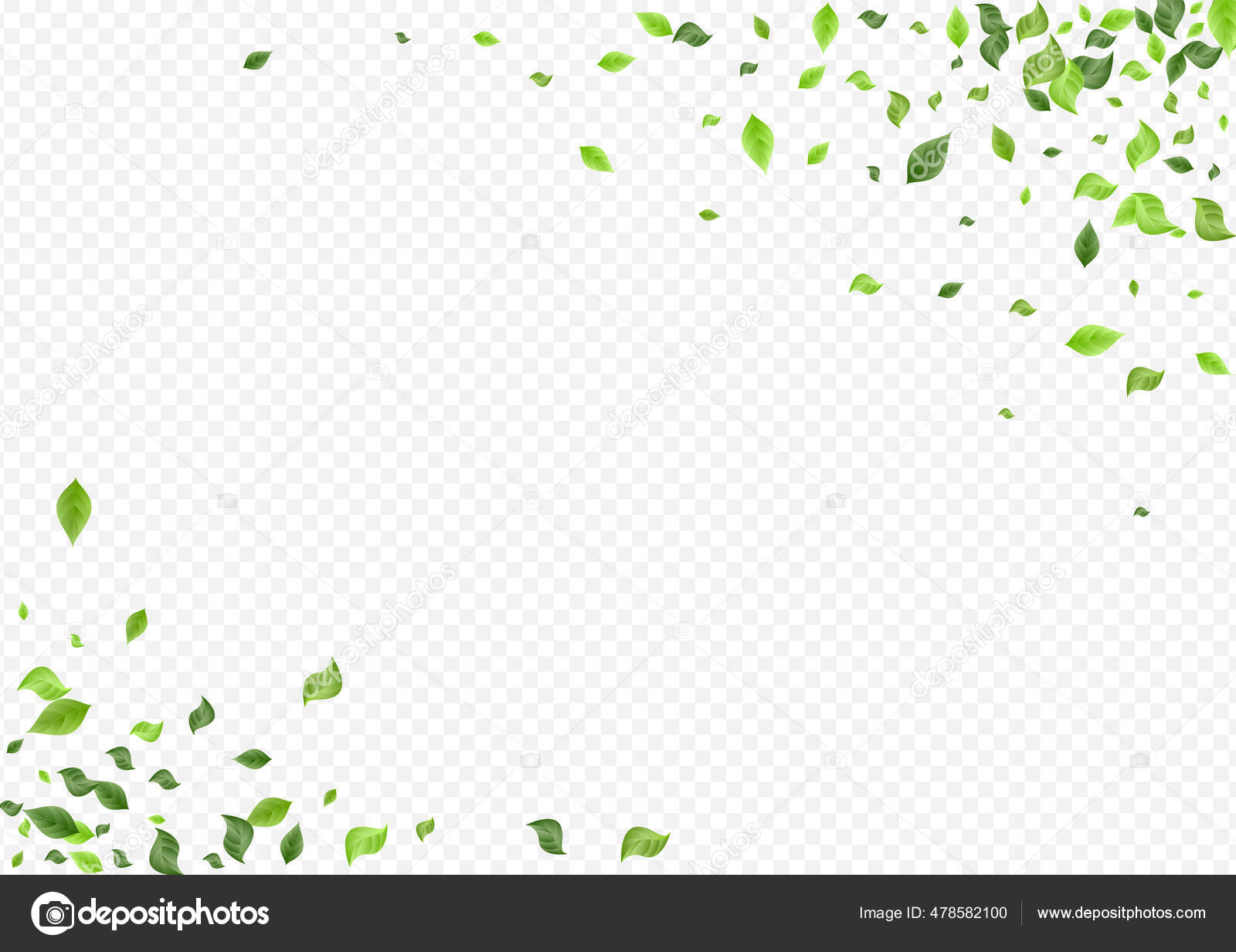 Green Foliage Spring Vector Transparent Background Poster Tea Leaves ...