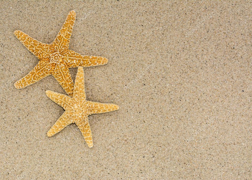 Two starfish on sand background on a beach — Stock Photo © Dolores ...