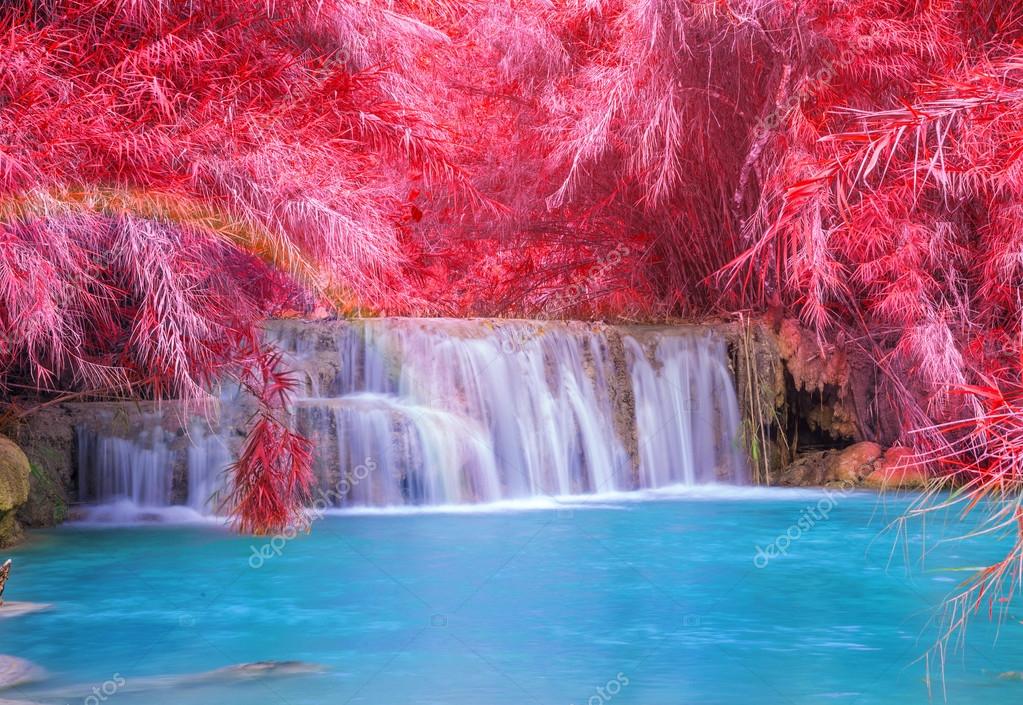 Waterfall in rain forest (Tat Kuang Si Waterfalls at Luang praba ...