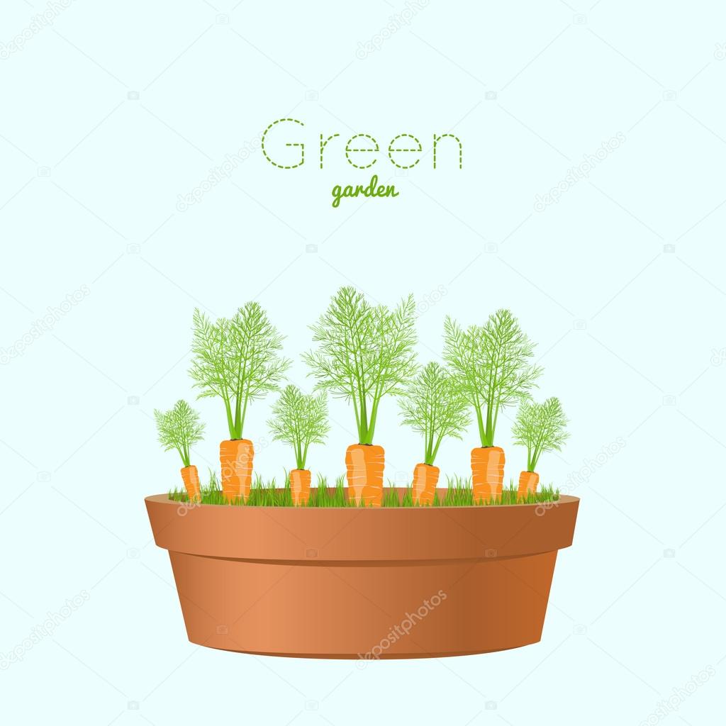 Potted Vegetable Plant Clipart