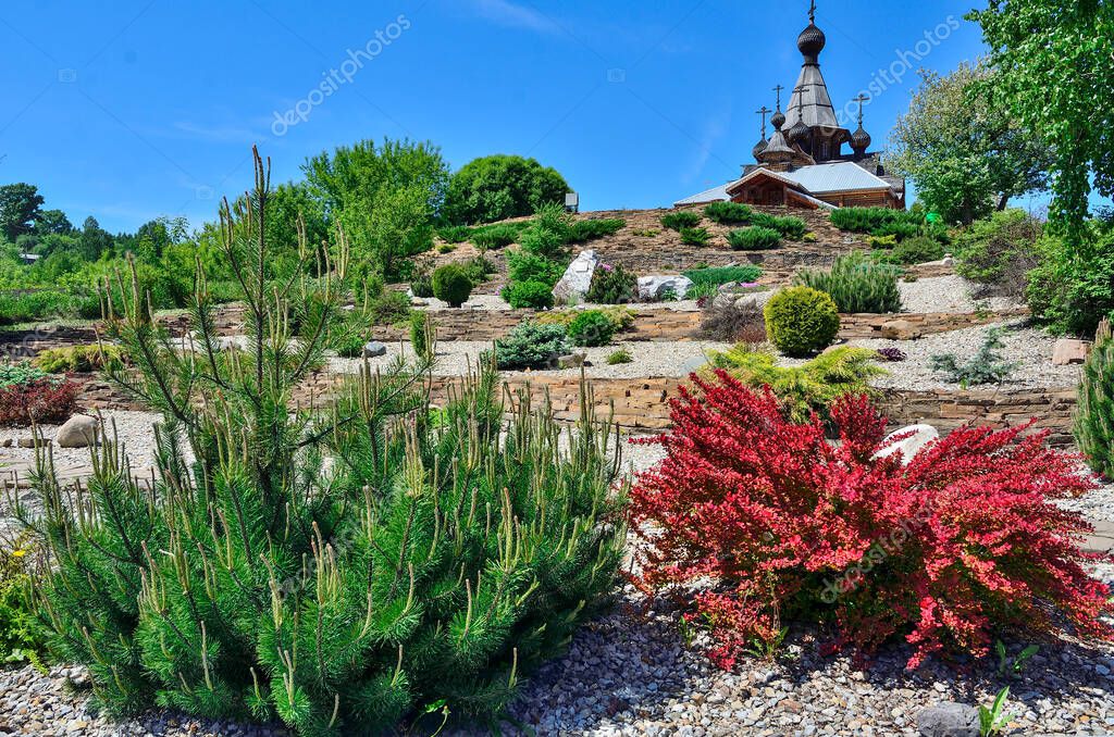 Jardín de piedra ornamental con coníferas enanas en la pendiente de la ...