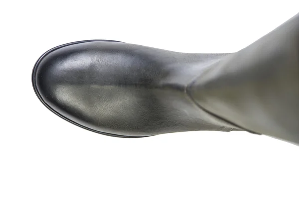 Pacu Stock Photos, Royalty Free Pacu Images | Depositphotos