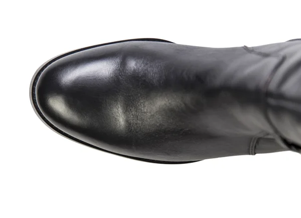 Pacu Stock Photos, Royalty Free Pacu Images | Depositphotos