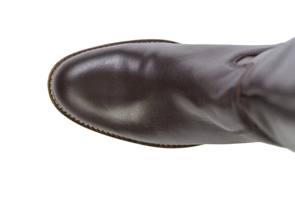 Pacu Stock Photos, Royalty Free Pacu Images | Depositphotos