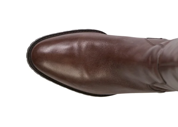 Pacu Stock Photos, Royalty Free Pacu Images | Depositphotos