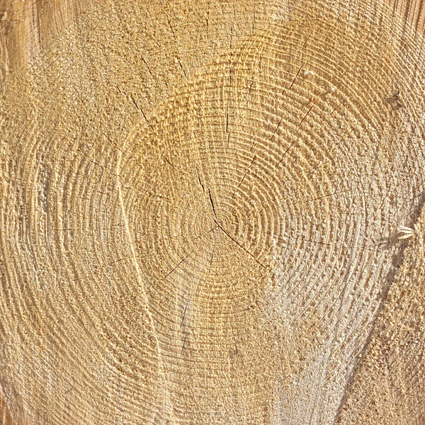 Dinding log bulat Stock Photos, Royalty Free Dinding log bulat Images ...