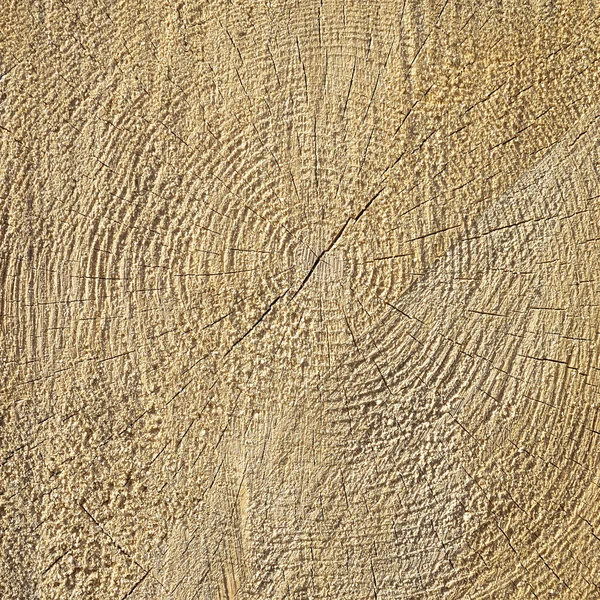 Teak wood stump background Stock Photos, Royalty Free Teak wood stump ...