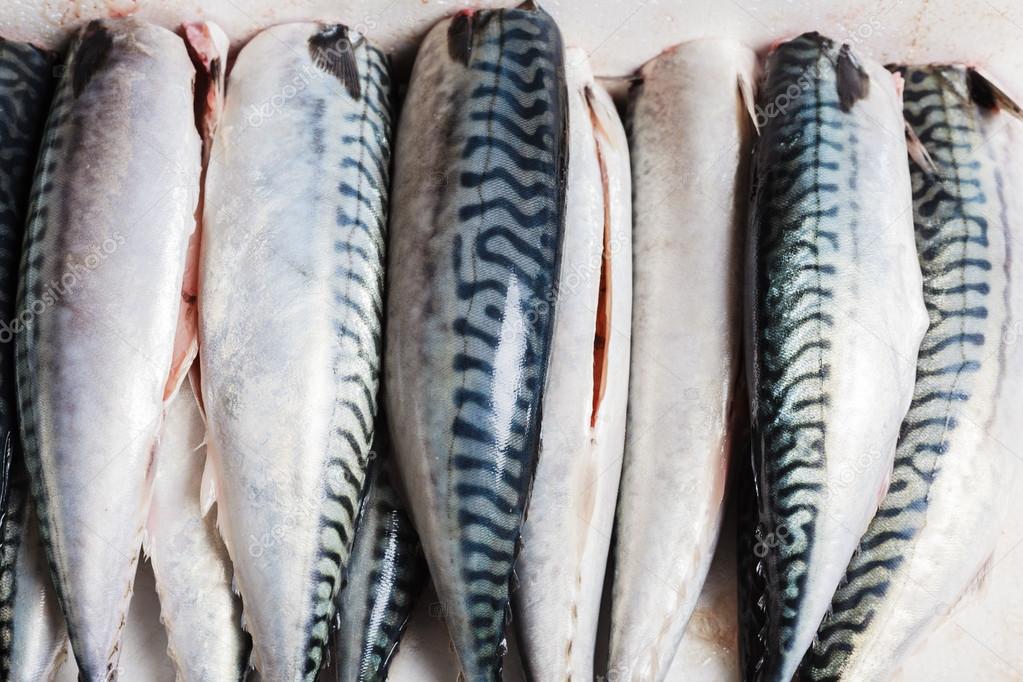 Cleaned and gutted mackerel Stock Photo by ©lofilolo 57093615