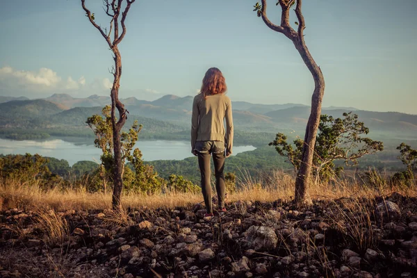 Between two trees Stock Photos, Royalty Free Between two trees Images ...