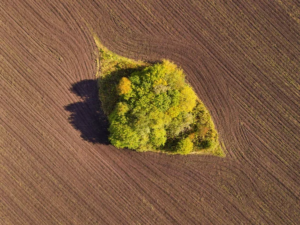 Beautiful Russian Siberian Green Field Stock Photo by ©ba1udze 426081572