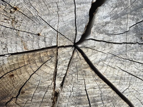 Rustic log Stock Photos, Royalty Free Rustic log Images | Depositphotos