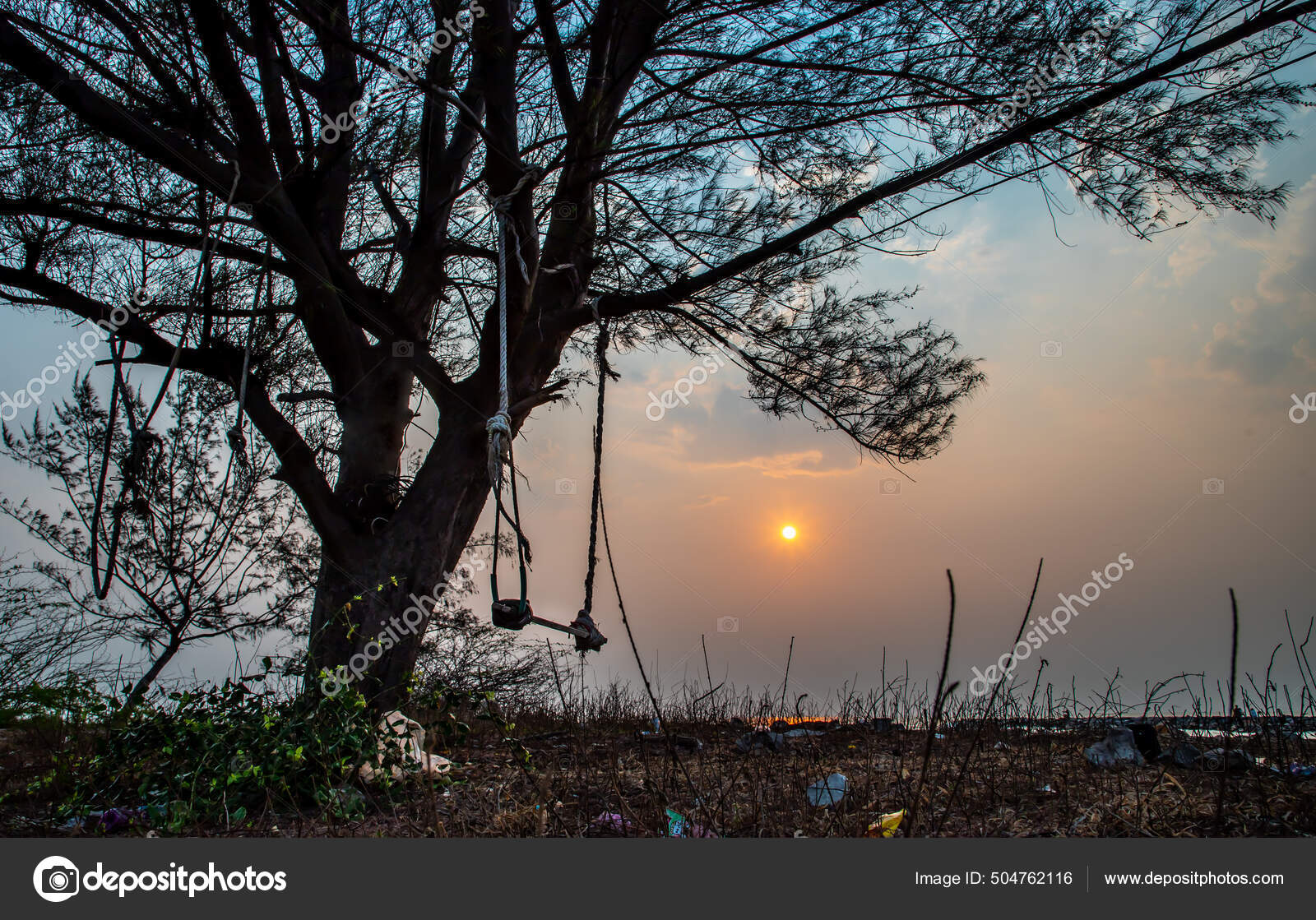 Viejo Columpio Madera Bajo Árbol Para Sentarse Relajarse Cerca Del ...
