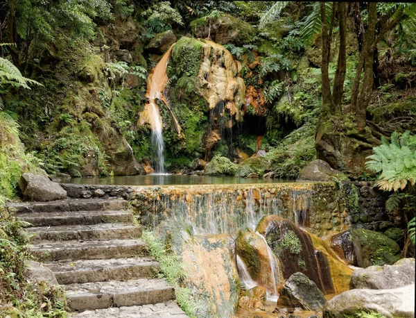 Azorean Stock Photos, Royalty Free Azorean Images | Depositphotos®