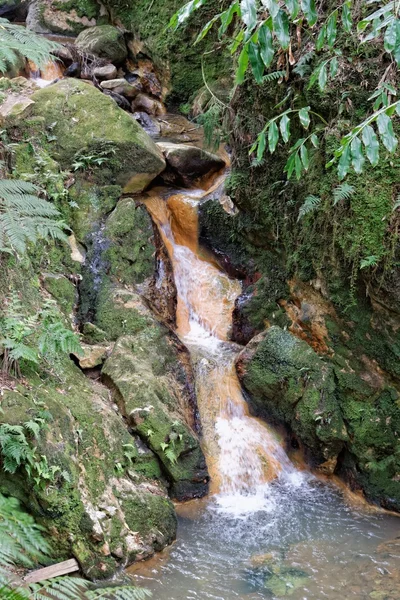 Azorean Stock Photos, Royalty Free Azorean Images | Depositphotos®