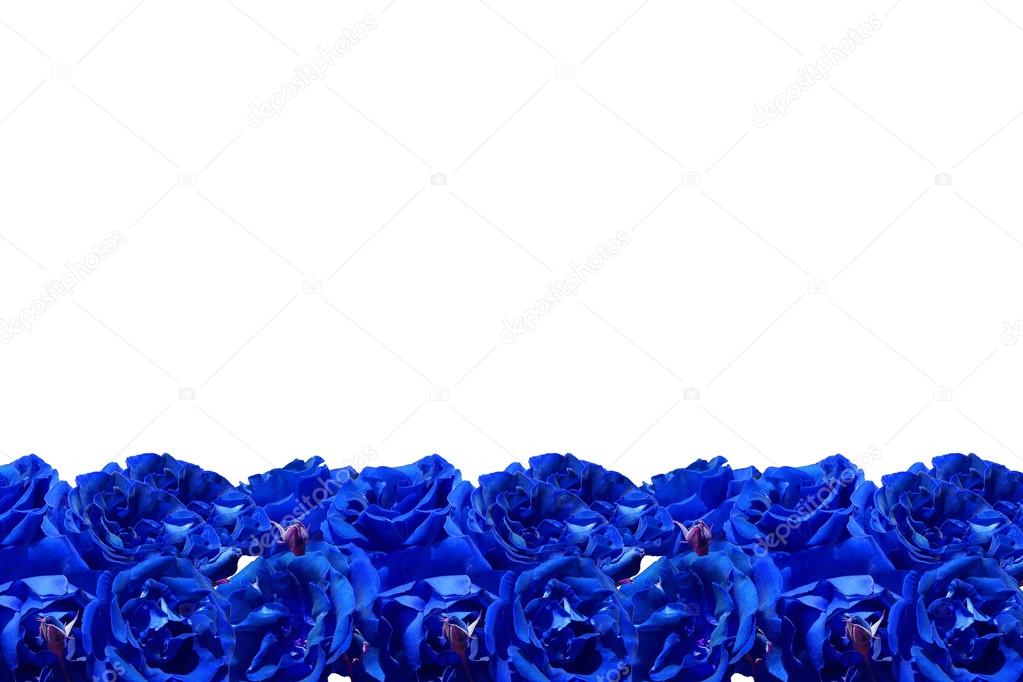 Blue Roses Frame ⬇ Stock Photo, Image by © maicyber #90492910