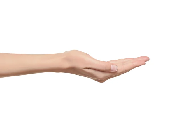 Flat Hand Png