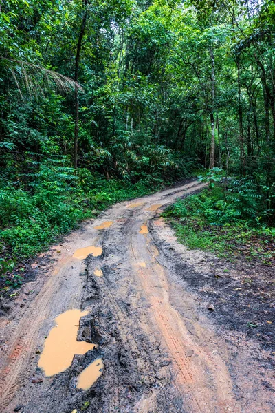 Muddy road Stock Photos, Royalty Free Muddy road Images | Depositphotos