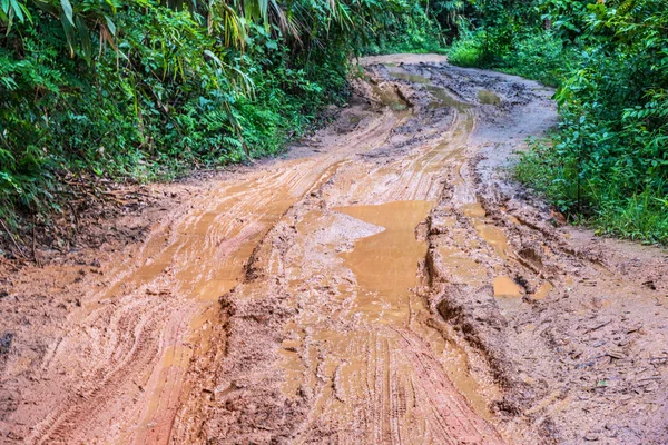 Muddy Road