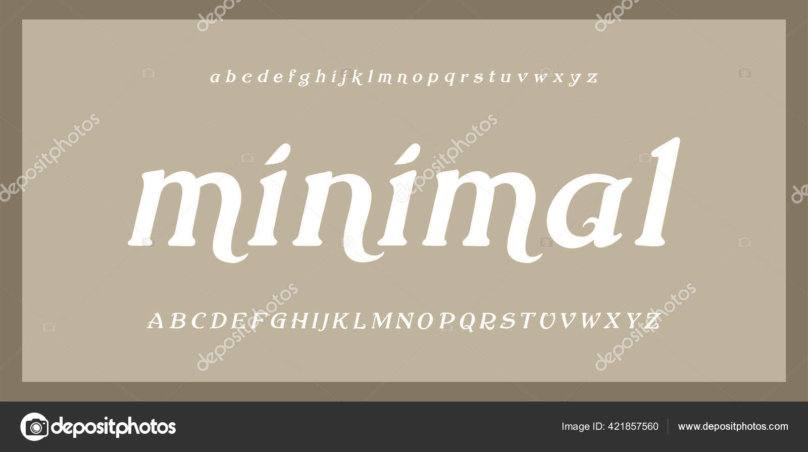 Elegant Style Alphabet Decorative Alphabet Fonts Numbers Vector ...