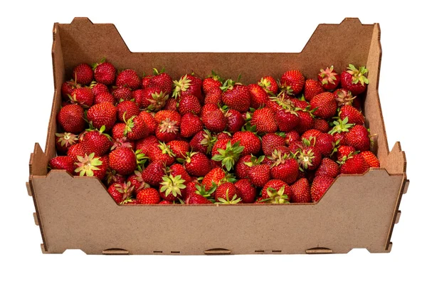 Cartons of strawberries Stock Photos, Royalty Free Cartons of ...
