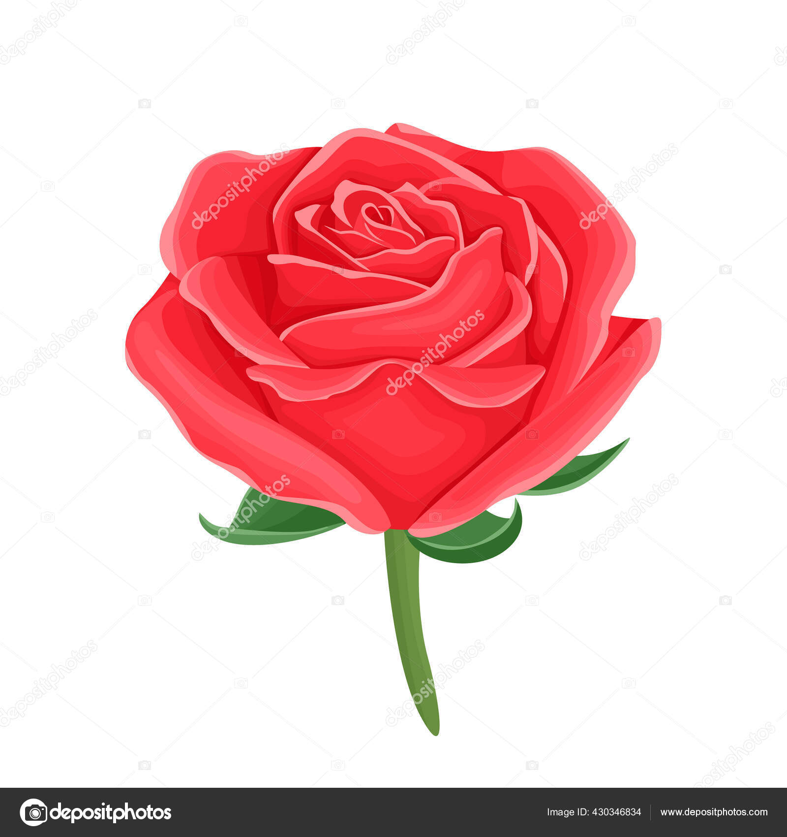 Blooming Rose Animation