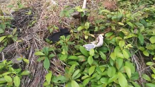 726 Wet underwear Stock Videos, 4K & HD Footage | Depositphotos