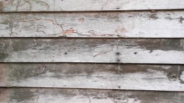 Rotting Planks Texture Wood Wall Abandoned House — Stock Video ...
