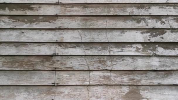Rotting Planks Texture Wood Wall Abandoned House — Stock Video ...
