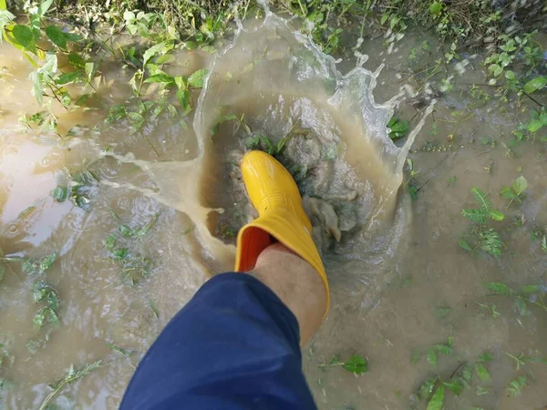 Ire enchente Stock Photos, Royalty Free Ire enchente Images | Depositphotos