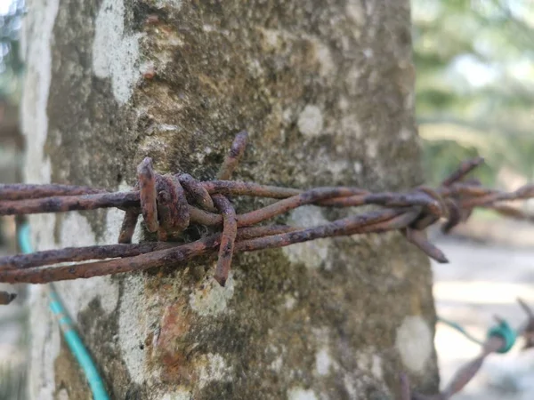 Hardwire Stock Photos & Royalty-Free Images | Depositphotos