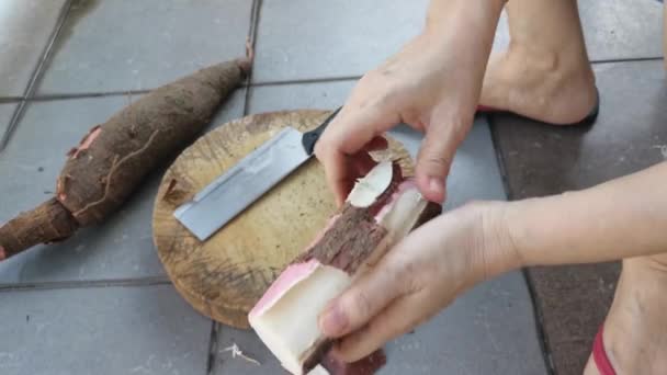 158 Tapioca root Videos, Royalty-free Stock Tapioca root Footage ...