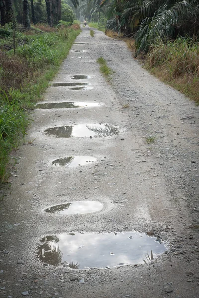 Dried Puddle Left Stones Pathway Stock Photo by ©sweemingyoung 672953232
