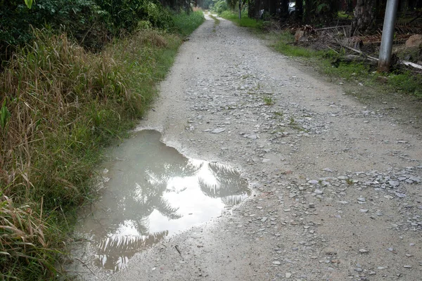 Reflective Puddle Rural Pathway Stock Photo by ©sweemingyoung 473366730