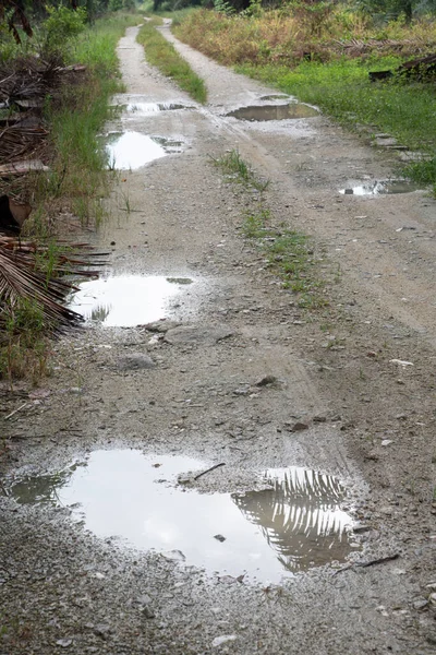 Reflective Puddle Rural Pathway Stock Photo by ©sweemingyoung 473366730