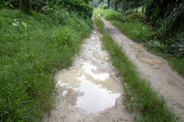 Dried Puddle Left Stones Pathway Stock Photo by ©sweemingyoung 672953232