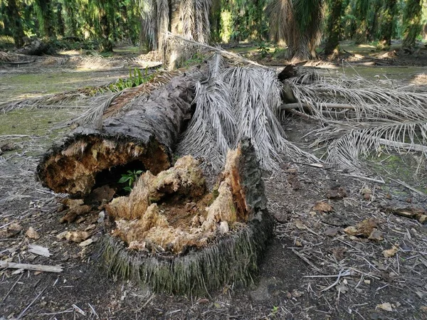 Szkody wildlife Stock Photos, Royalty Free Szkody wildlife Images ...