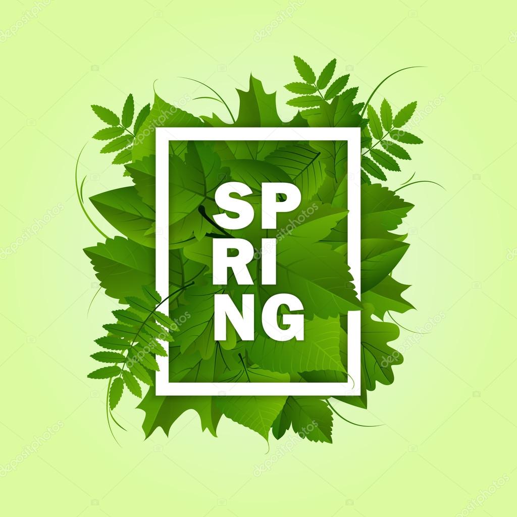 Fondo del marco de primavera Vector de stock #105125848 de ©Kg.karolina